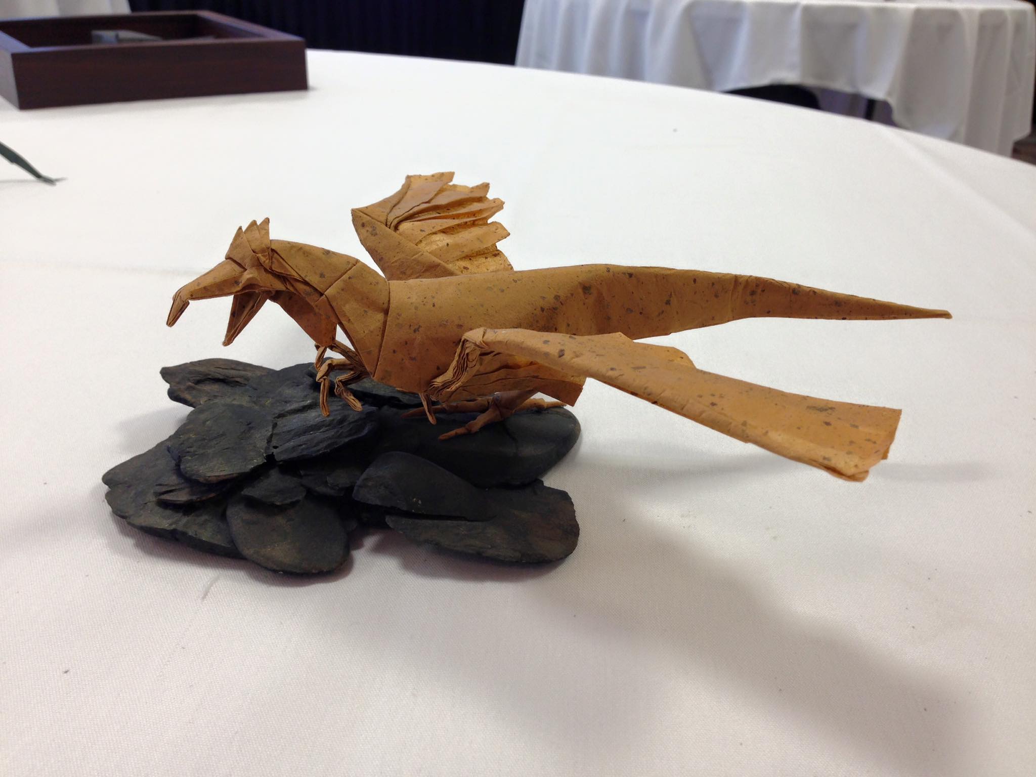 Folding Paper: The Infinite Possibilities of Origami